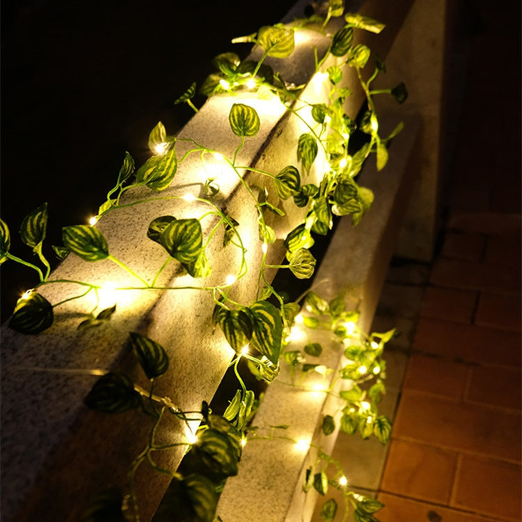 Garden Vine LED 2-10m Battery | Letifly Lights & Decor