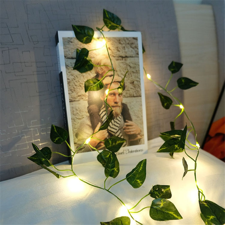 Enhance Your Space: Garden Vine LED String Lights Collection – Letifly ...